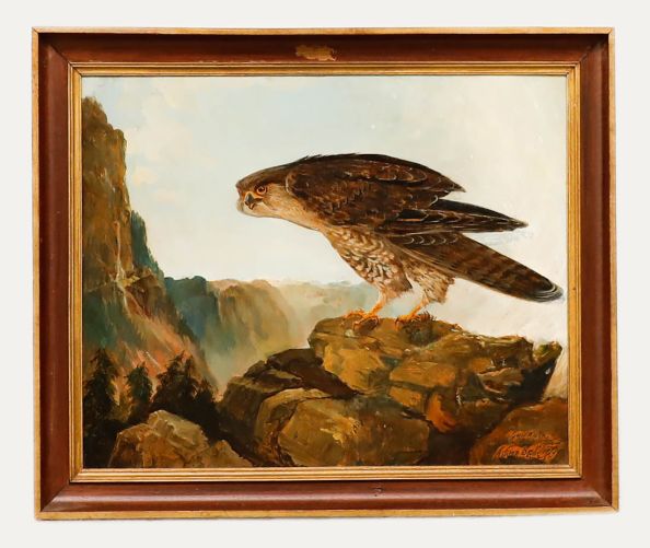 Ashton Booth - Framed 20th Century Oil, Portrait of a Gyrfalcon