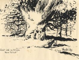 Early 20th Century Pen and Ink Drawing - New Forest, Nymphs by Giant Oak