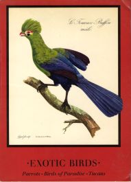 1963 Book - Exotic Birds: Parrots, Birds of Paradise, Tucans