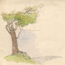 Marcus Adams - Early 20th Century Watercolour, Tree