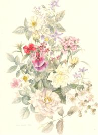 Jane Wormell (b.1960) - 1985 Watercolour, Garden Flowers