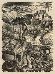 Valentin le Campion - French Mid 20th Century Photogravure, Summer Fruits