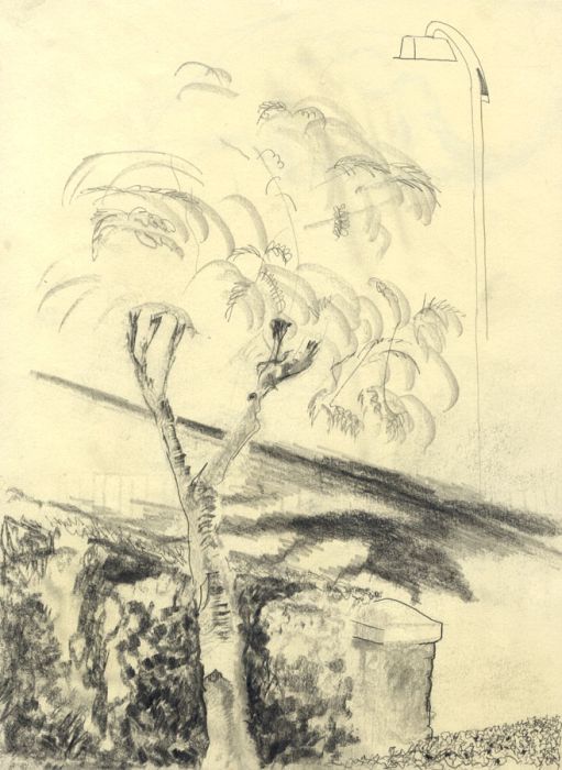 Julian Dyson - 1974 Pen and Ink Drawing, Roadside Tree with Lamp Post