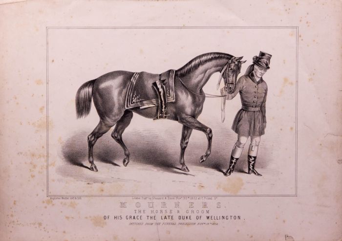 Augustus Butler -1852 Lithograph, Horse and Groom of the Late Duke of ...