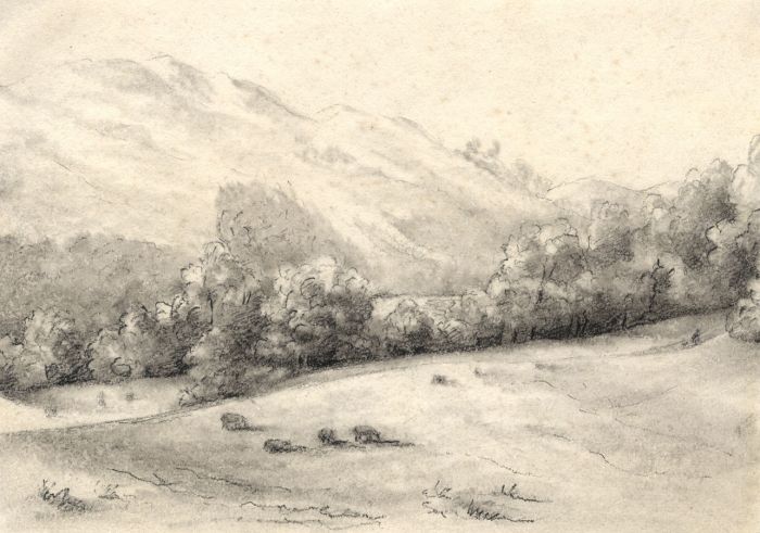 Early 20th Century Graphite Drawing - Landscape with Mountains and Trees