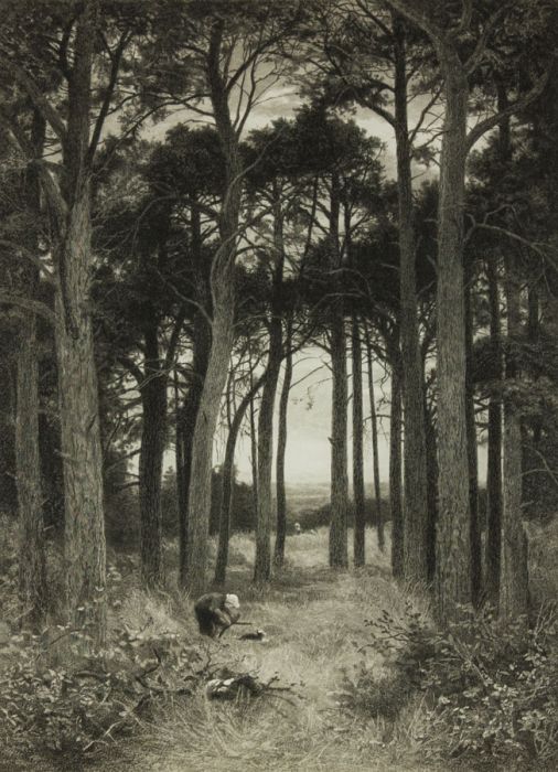 After Benjamin Williams Leader - Signed 1898 Etching, Skirts of a Pine Wood
