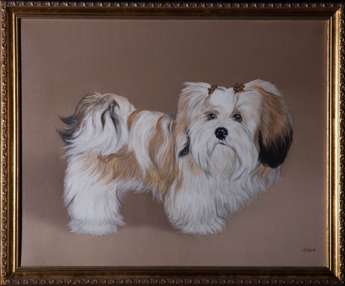 Isabel Clark - Contemporary Oil, Shih Tzu