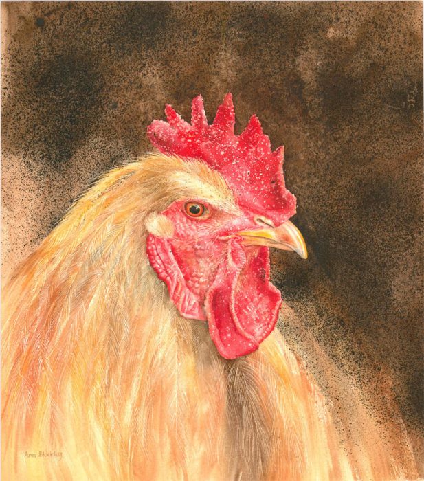 Ann Blockley - Contemporary Watercolour, Buff Orpington
